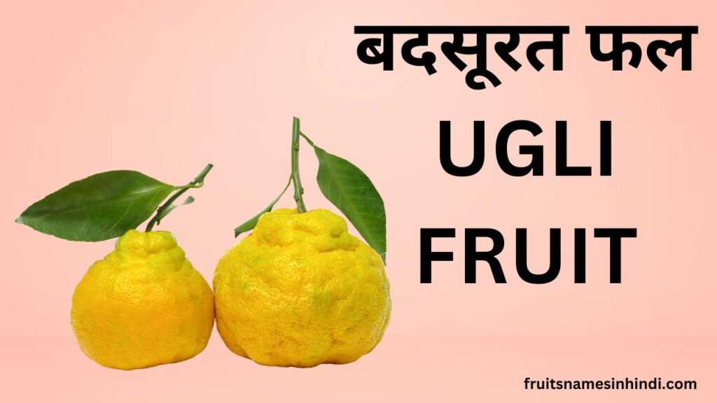 23 Single Fruits Images with Names with 03 Important Reasons