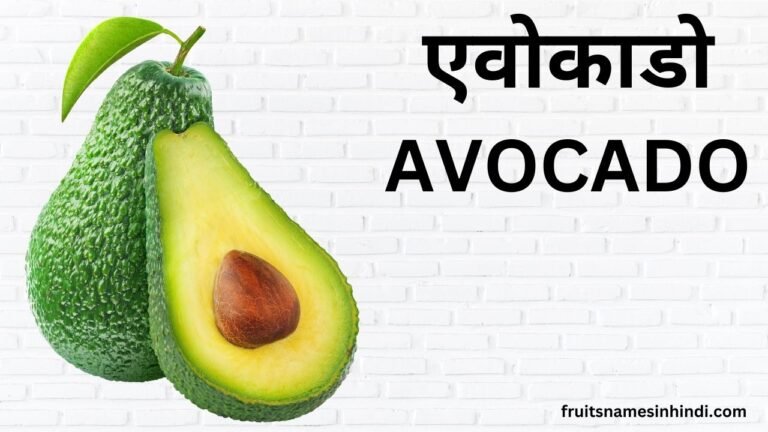 Avocado in Hindi अवोकाडो11 Surprising Benefit & Side Effects