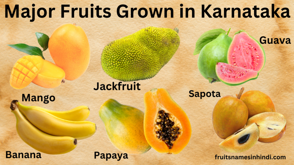 Astonishing Top 10 Fruits Karnataka in Hindi
