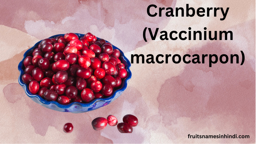 20 Delightful Scientific Names of Fruits with Pictures