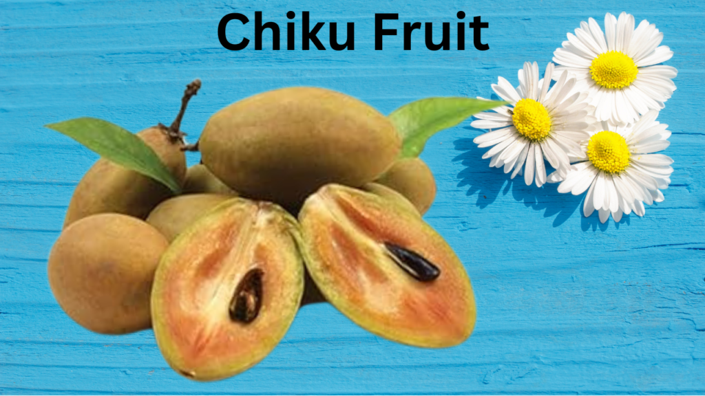 Succulent Chiku Fruit in English and Hindi 100% Healthy